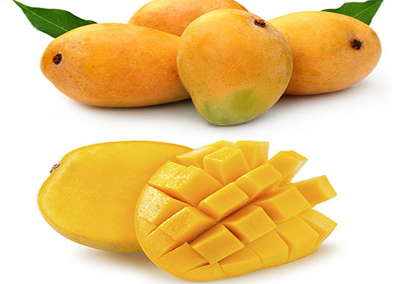 Vedant Quality Food Products & Vegetables Pvt Ltd